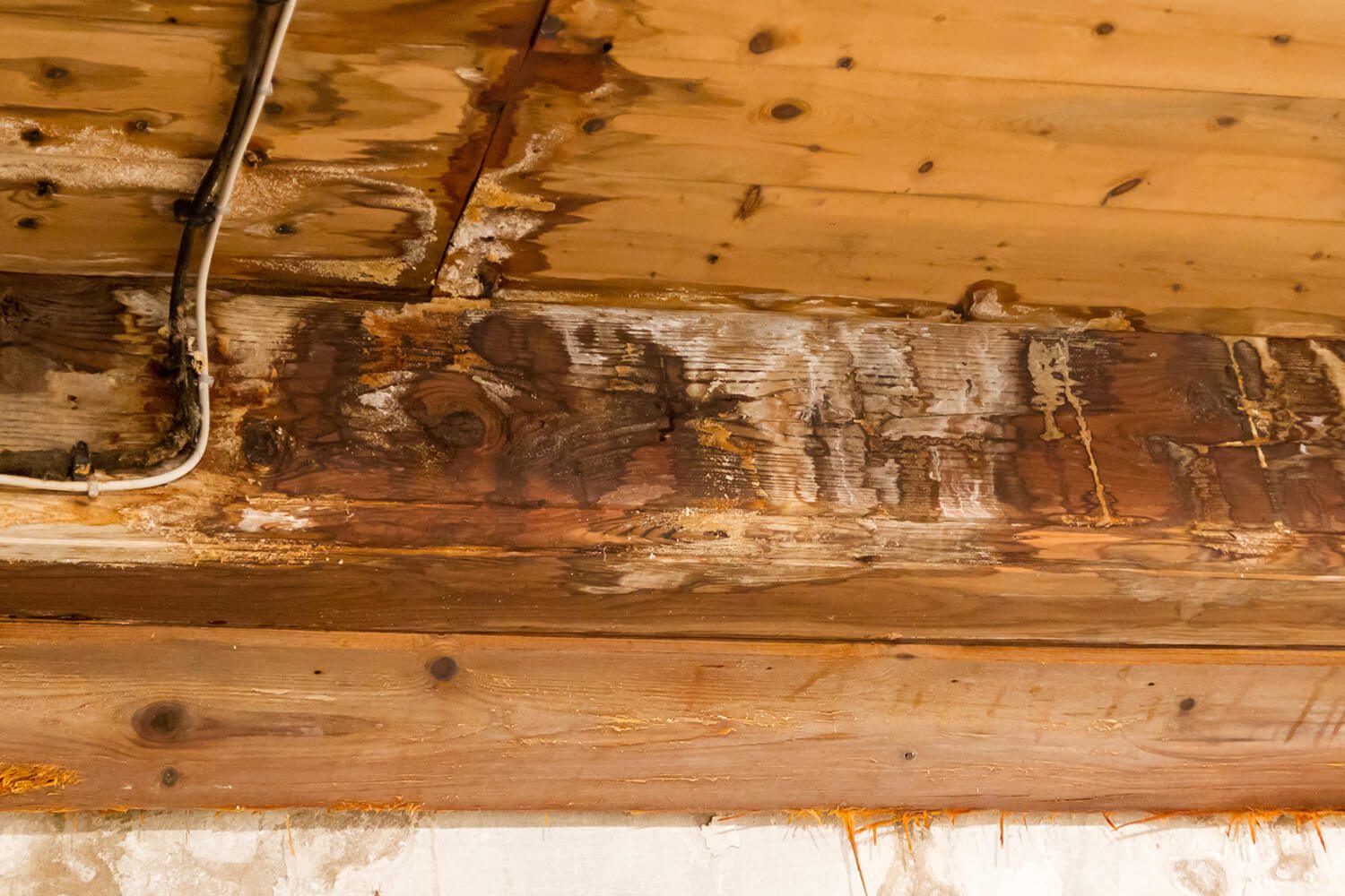 Signs Of Water Damage Under Floor | Naked Maintenance Man